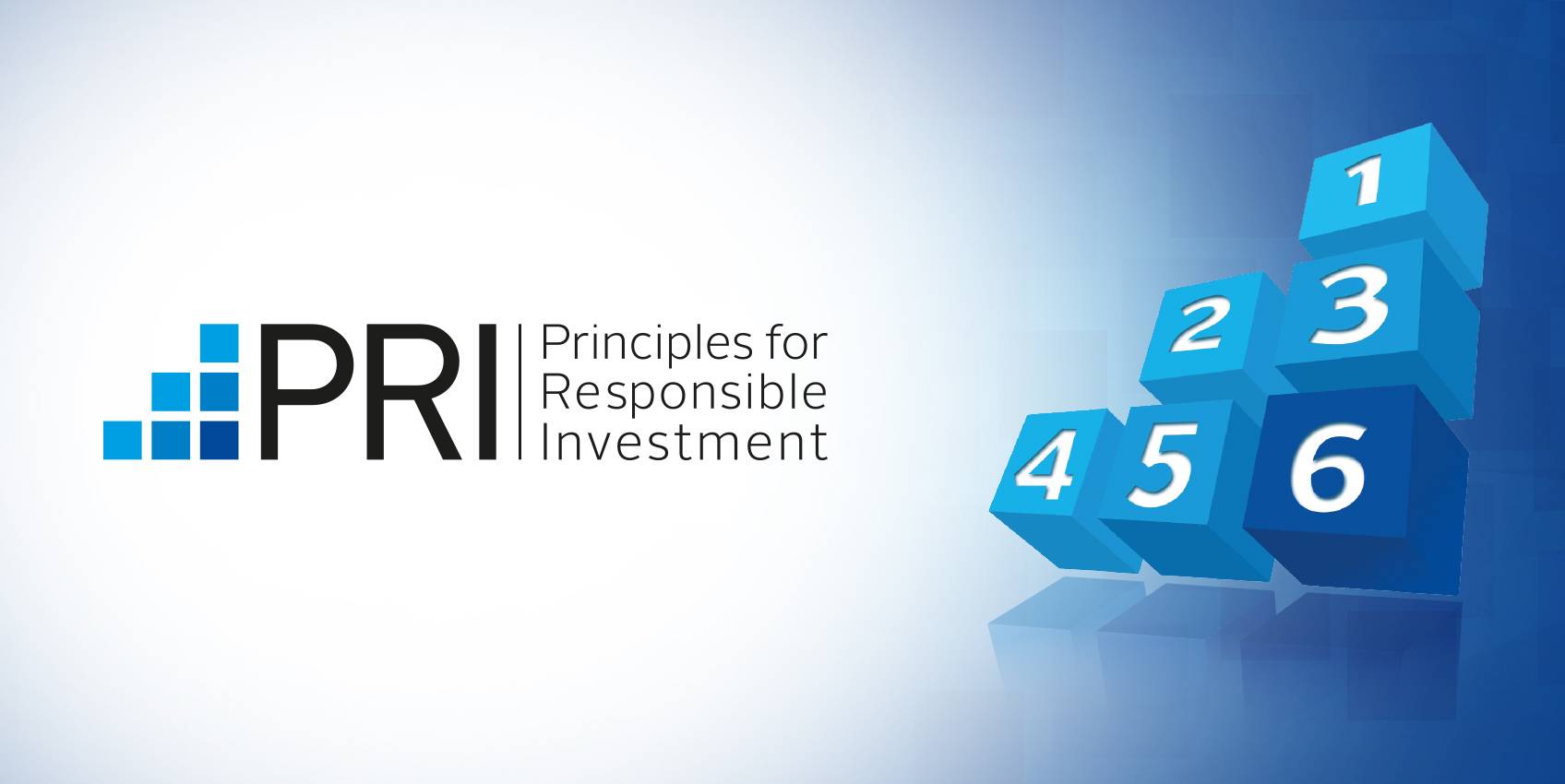 SOM - Đào tạo sau đại học ESG framework: PRI - Principles for ...