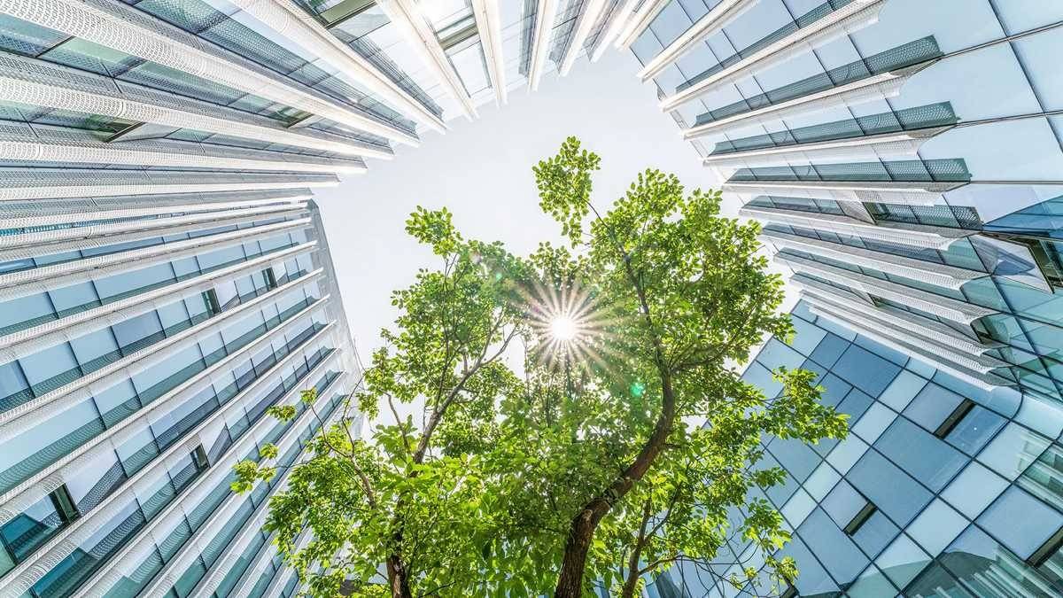 CDP là gì trong triển khai báo cáo ESG